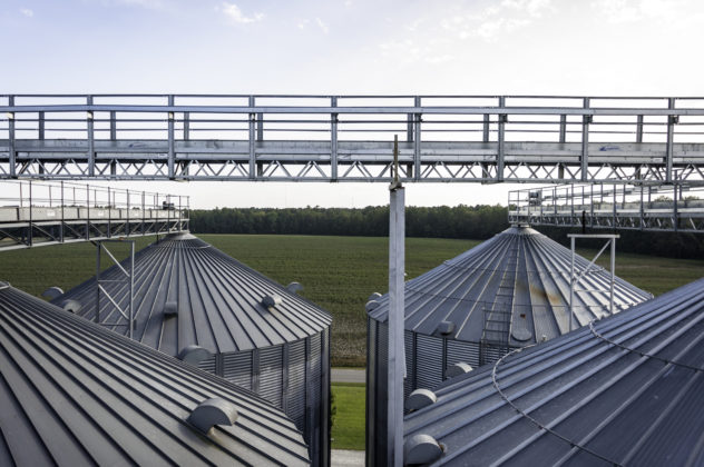 Montague Farms – Montague Farms – A Producer and Exporter of Quality Grains